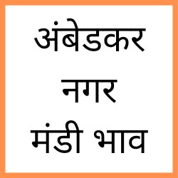 सुल्तानपुर-Sultanpur Mandi Bhav Today List - Kisan Upaj