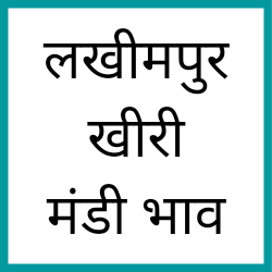 सुल्तानपुर-Sultanpur Mandi Bhav Today List - Kisan Upaj