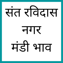 सुल्तानपुर-Sultanpur Mandi Bhav Today List - Kisan Upaj